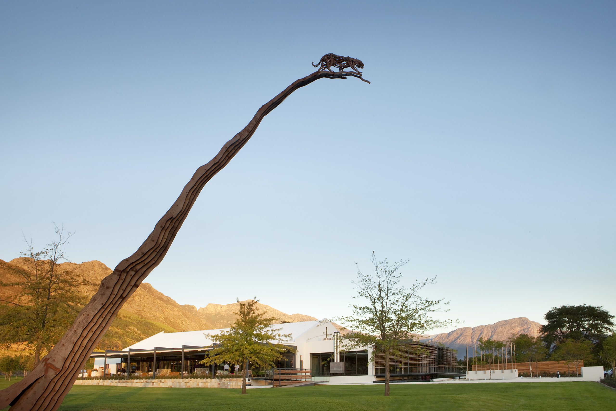 Leopard’s Leap Family Vineyards - Winelands Explore