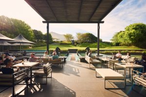 Steenberg Farm - Winelands Explore