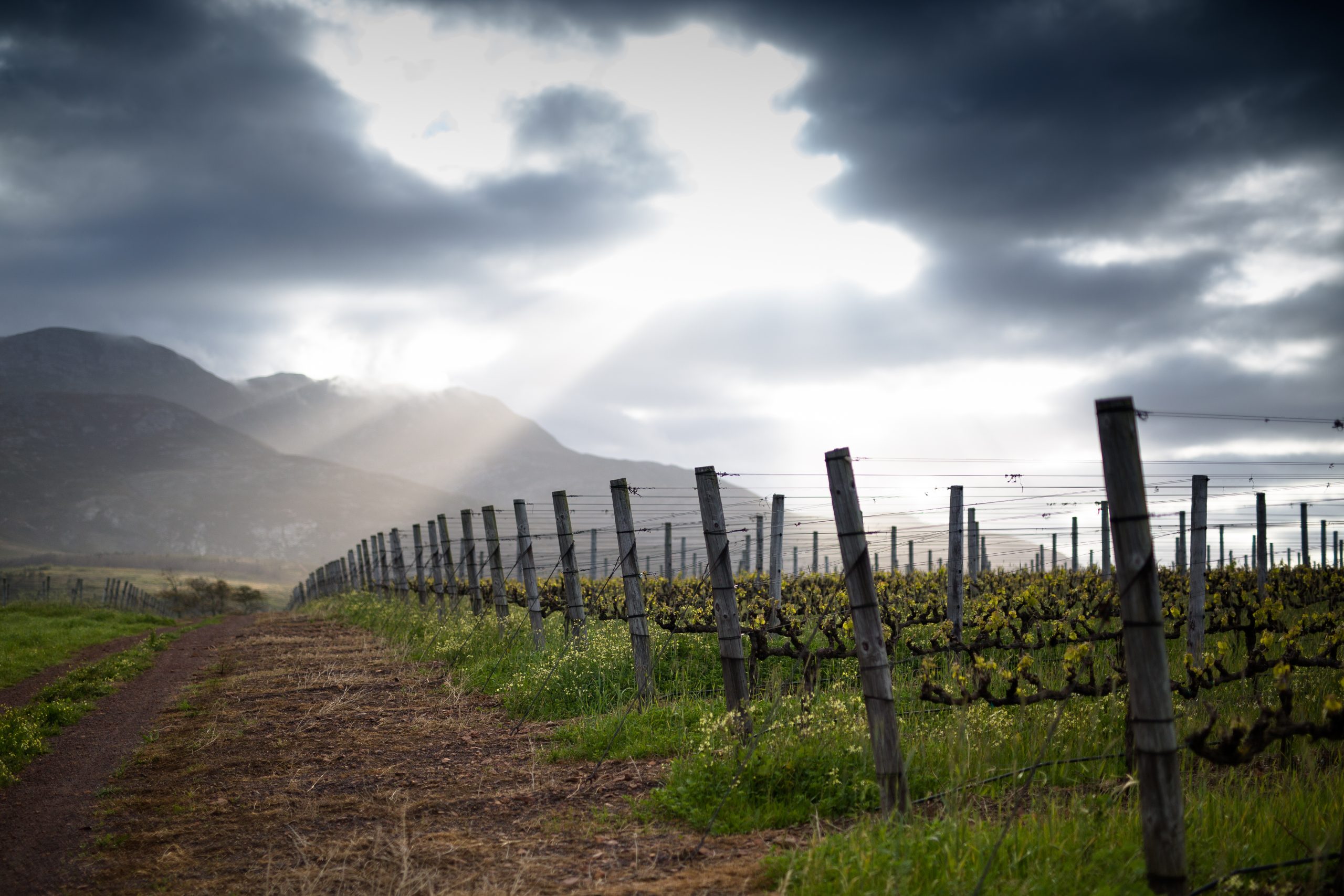 Oak Valley Estate - Winelands Explore